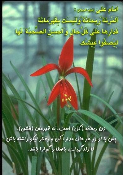 تفاوت حقوق زن و مرد در چيست؟ اندیشه برتر