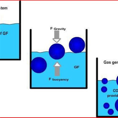 In Vitro Drug Release Profiles Of Floating Matrix Tablet Formulations Download Scientific