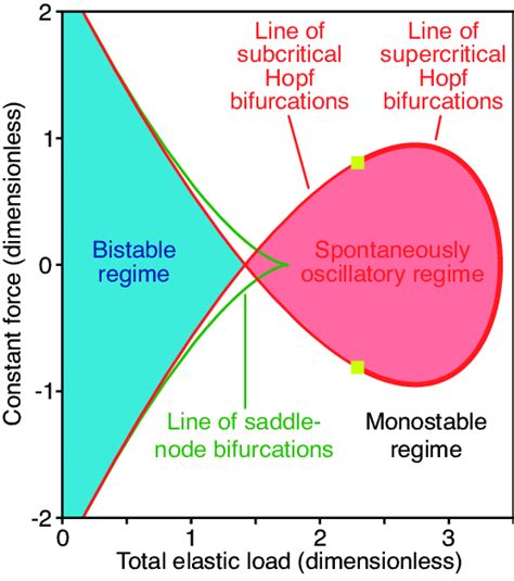 Phase Diagram For The Behavior Of A Hair Bundle The Parameters Of The