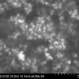 Difference Between SEM And TEM Of Vesicular Systems Download Scientific Diagram