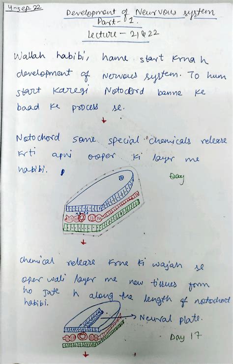 SOLUTION Dr Najeeb Embryo Notes DEVELOPMENT OF NERVOUS SYSTEM Lecture