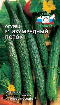 Купить семена Огурец Изумрудный поток F1 (седек) 0,2гр — доставка по ...