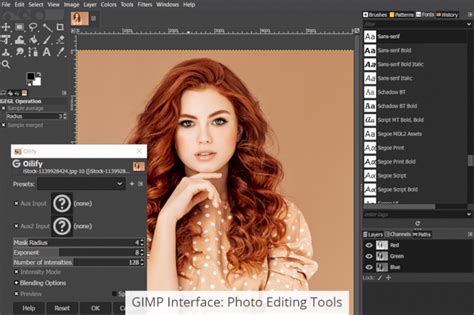 Fotor Vs Gimp What Software To Choose