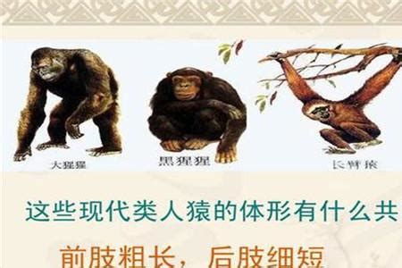 人类和植物一样幸福是啥意思