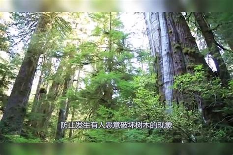 村民巡山听到惨叫凑近一看连连后退镜头记录这一刻 镜头 巡山 村民