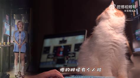 『宝贝』 让你每夜都好眠”【玉桂幺幺翻唱】 哔哩哔哩