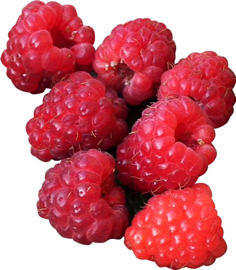 Raspberries Png Png Images 100