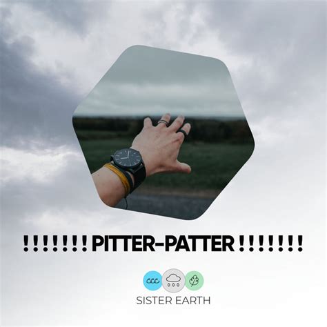 Pitter Patter Album By Rain Sound Studio Spotify