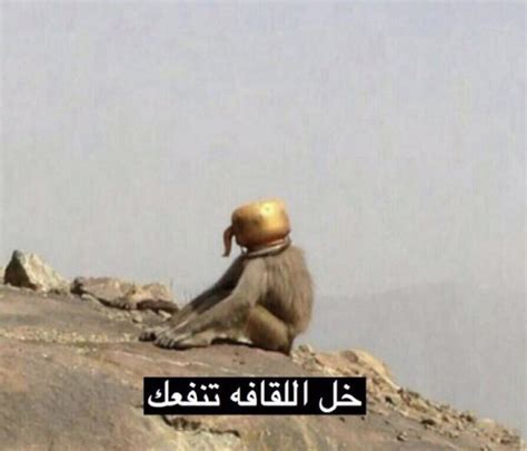 هولز On Twitter طلع الموضوع صدق وبنلعب ضد مدريد