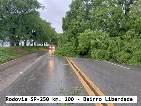 Chuva E Vento Causam Danos Em Vários Pontos Da Cidade