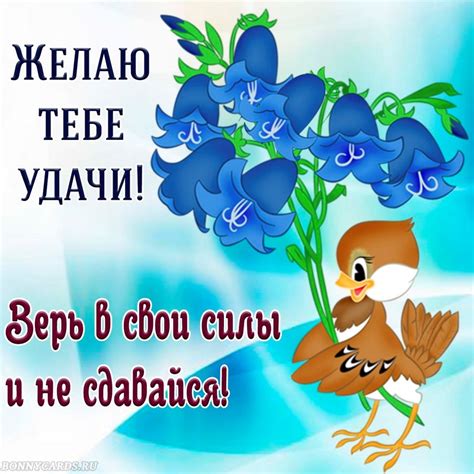 Картинка пожелание удачи в конкурсе Фотоподборки 1