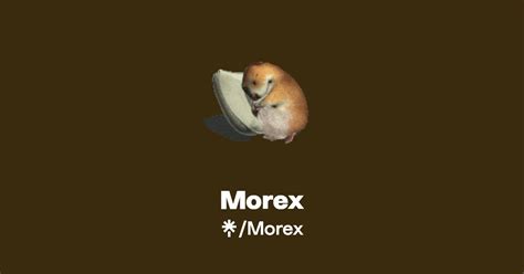 Morex Instagram Tiktok Linktree