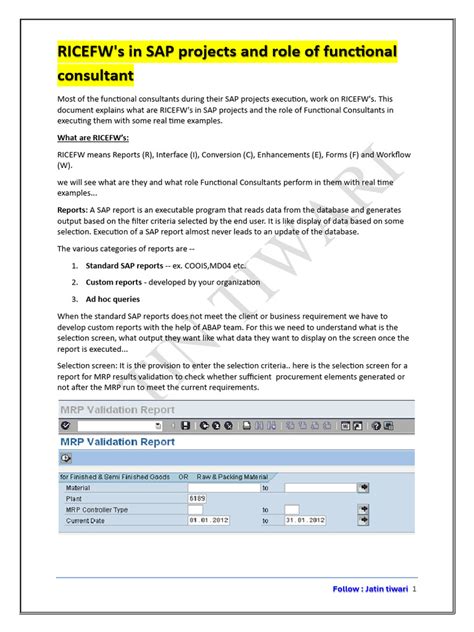 Ricefws In Sap Projects And Role Of Functional Consultant Pdf Databases Information