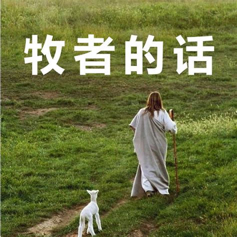 放手 全球撒网