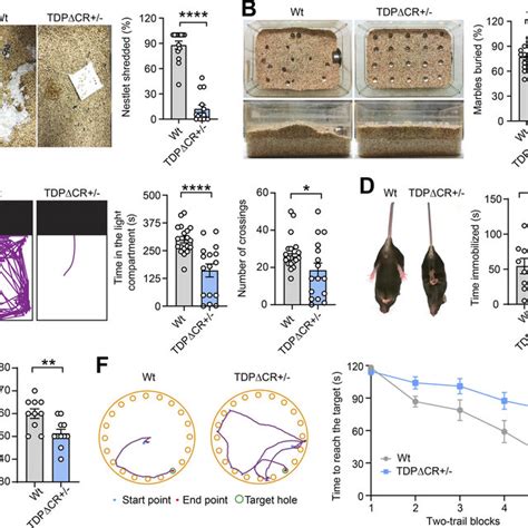 TDPΔCR mice exhibit characteristic behavioral abnormalities A Download Scientific Diagram