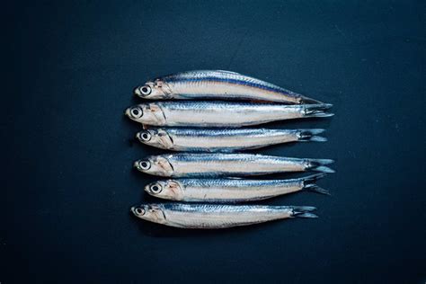 Estos Son Los Pescados Más Seguros Por Sus Bajos Niveles De Mercurio
