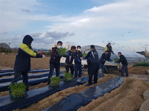 전북소방 정읍소방서 신태인남성의용소방대 농촌일손돕기 나서