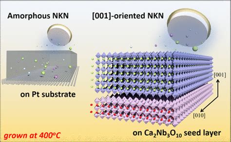 Physical Properties Of Na1 Xkx Nbo3 Thin Film Grown At Low Temperature