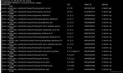 Docker Docker Csdn