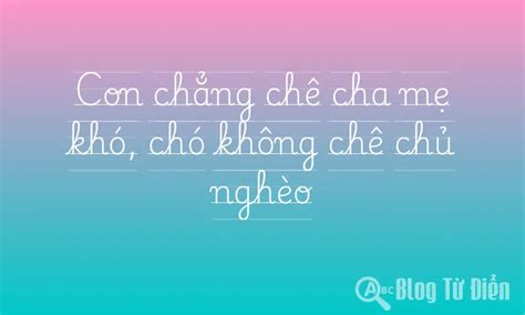 Tục Ngữ Con Chẳng Chê Cha Mẹ Khó Chó Không Chê Chủ Nghèo Nghĩa Là Gì