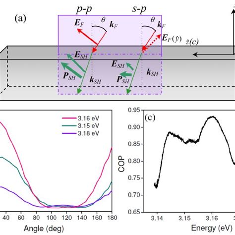 A Sketch Of The Geometry Of The Experiment For P P Polarization And Download Scientific