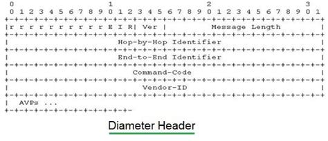 Radius Vs Diameter Protocol A Detailed Comparison Rf Wireless World