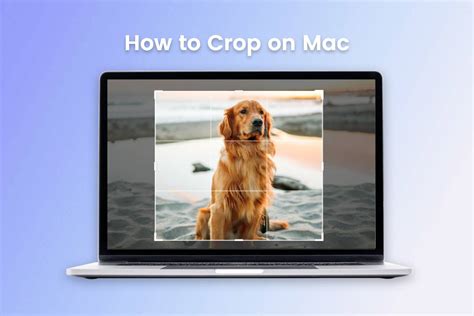 How To Crop On Mac Easy Ways Fotor