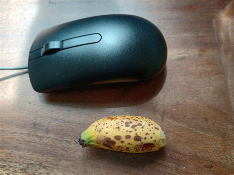 Tiny Banana Mouse For Scale R Tinyunits