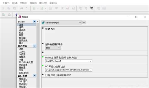 配置sql Developer监听sqldeveloper设置监听 Csdn博客