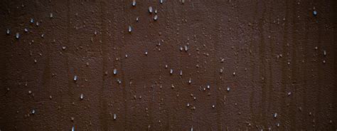 Top Signs Your Commercial Property Needs Waterproofing