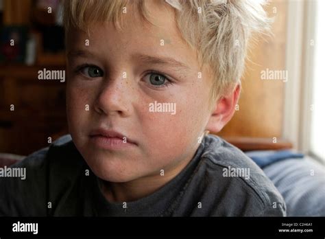 Portrait of a 6 year old boy Caucasian boy Stock Photo - Alamy