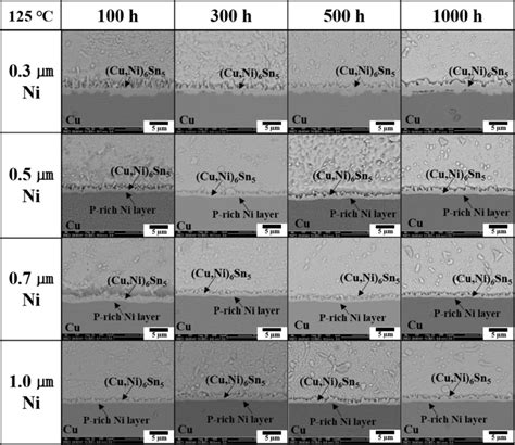 Cross Sectional Sem Micrographs Of Various Ni Layer Thicknesses In