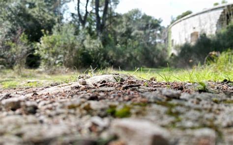 Tvrđava Munida Pula Visit Pula Hrvatska