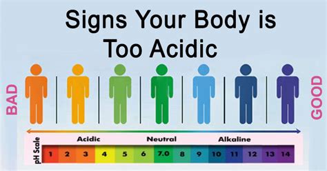 What Is The Highest Ph Level For A Human Body