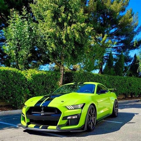 Pin By Luis Flores On Ford Mustan Shelby Ford Mustang Shelby Gt500