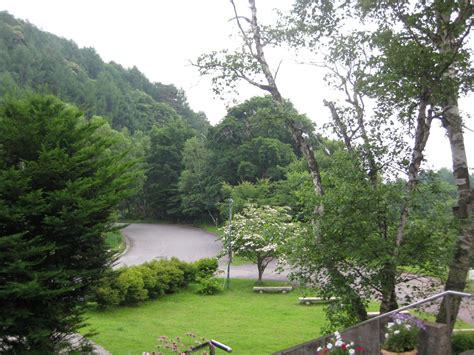 緑の村だより夏号完成 信州白樺高原 緑の村 別荘地内情報 Blog