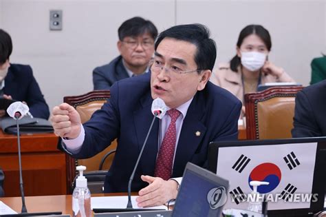 외통위 한일정상회담 충돌대통령 탄핵사유 Dj정신 실천종합 나무뉴스