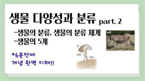 중1 과학 생물 다양성과 분류 L 생물의 분류 생물의 분류 체계 생물의 5계 Youtube