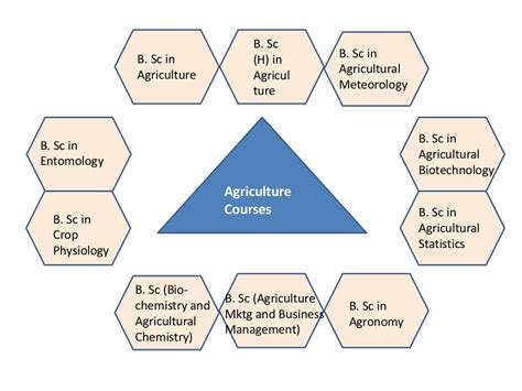 Top Courses After 12th Science
