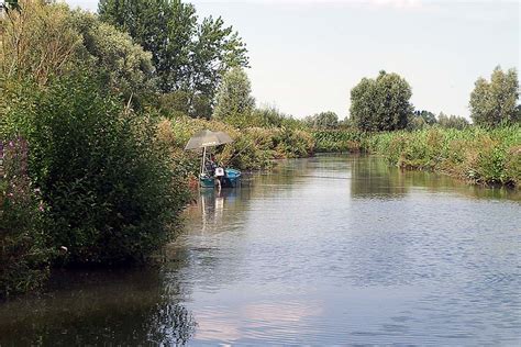 De Moerassen Bij Sint Omaars Doorbraakbe