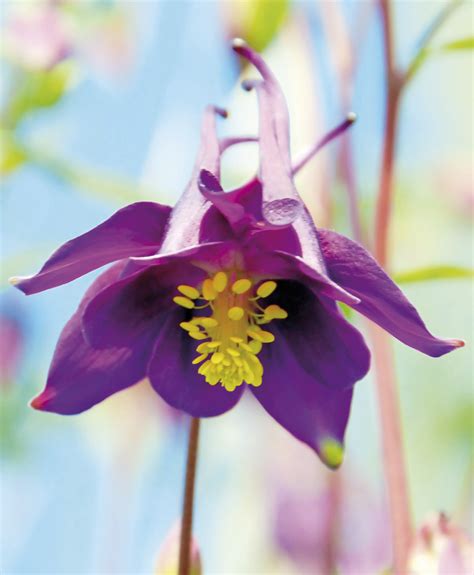 Senna Swinkels Neemt Als Directeur Bestuurder Haar Eigen Kennis En