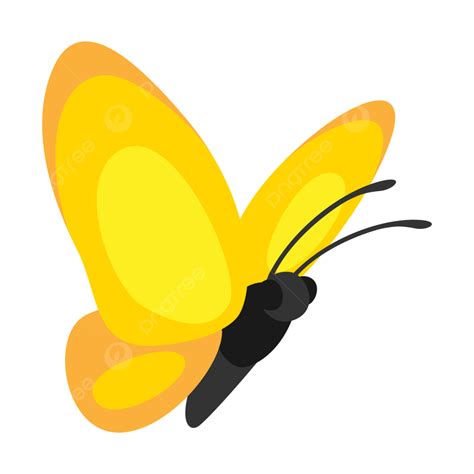 장식 나비의 그림 작은 곤충 색깔 디자인 Png 일러스트 및 벡터 에 대한 무료 다운로드 Pngtree