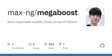 Megaboost Semi Supervised Automl Library On Top Of Pytorch R