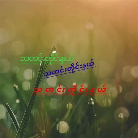 သတင်းတိုင်းနယ် Youtube