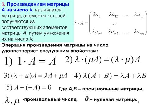 Матрицы и их виды. Действия над матрицами