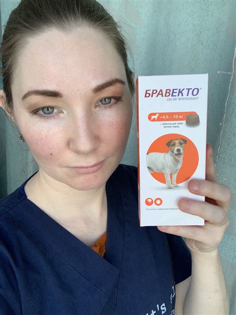Чем обработать собаку от блох: 7 вариантов от ветврача