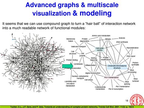 Ppt Multiple Scale Visualization And Modeling Of Biological Networkspathways Powerpoint