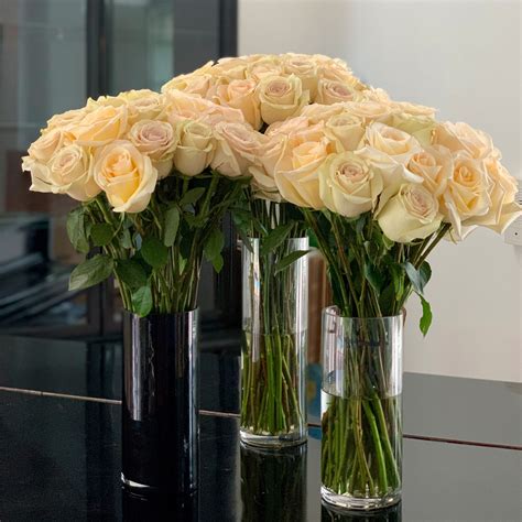 Buy Cream Dazzler Long Stem Roses Rose Farmers