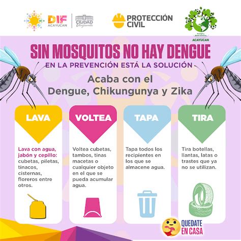 TRIBUNA del Sur Acayucan Medidas de prevención para evitar el dengue