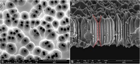 Double Cone Shape Under Sem A Surface Micrograph B Section
